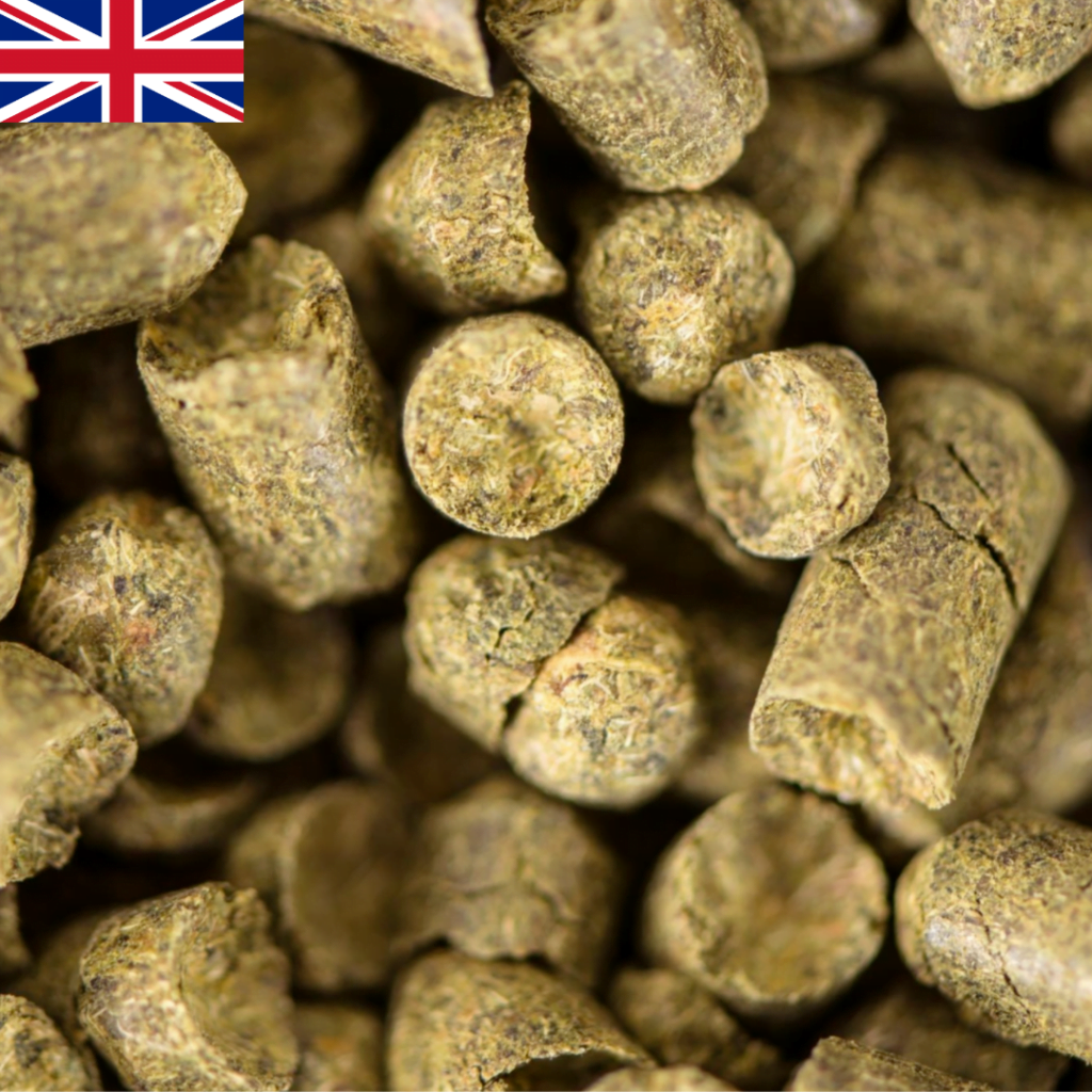 Jester Hop Pellets - Brew Day