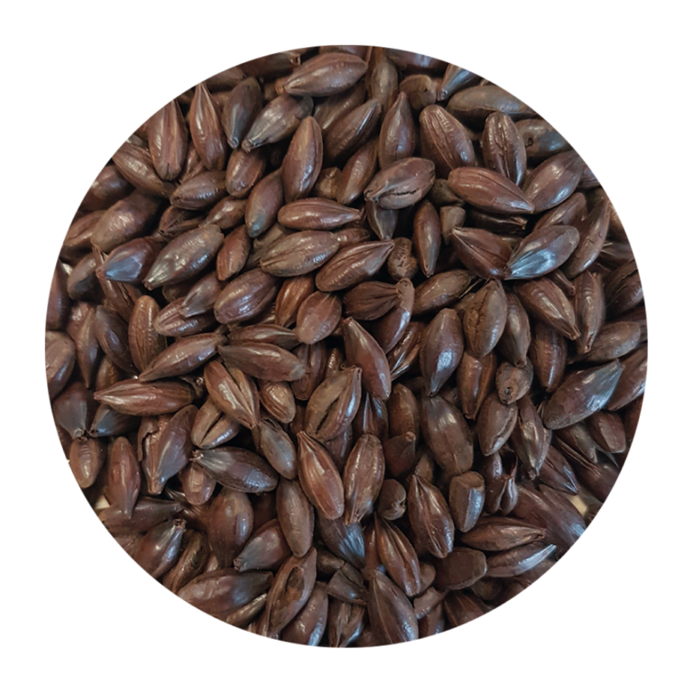 Brewing Malts | Base, Crystal & Speciality Malt | Brew Day UK
